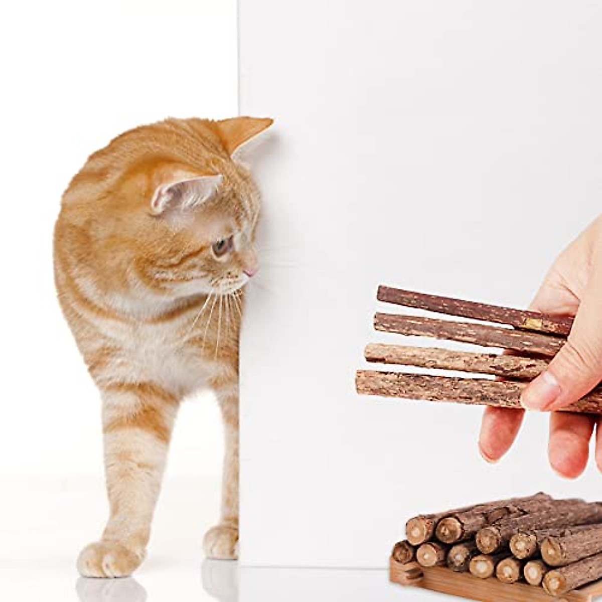 Luystoka 25pcs Silvervine Chew Sticks for Cats, Matatabi Catnip Chew Toys for Indoor Cats,Kitty, Wooden Dental Stick, Teething Molar Interactive Wand Toys for Kitten