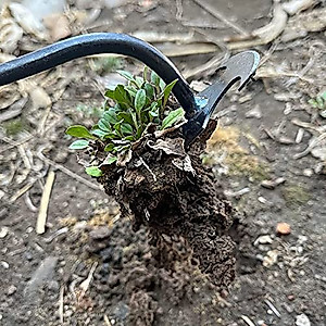 New Weeding Artifact Uprooting Weeding Tool, 4 Teeth Dual Purpose Weeder Tool, Hand Weeder Tool for Garden Yard Farm Weed Removal (Wood-14.5inch)