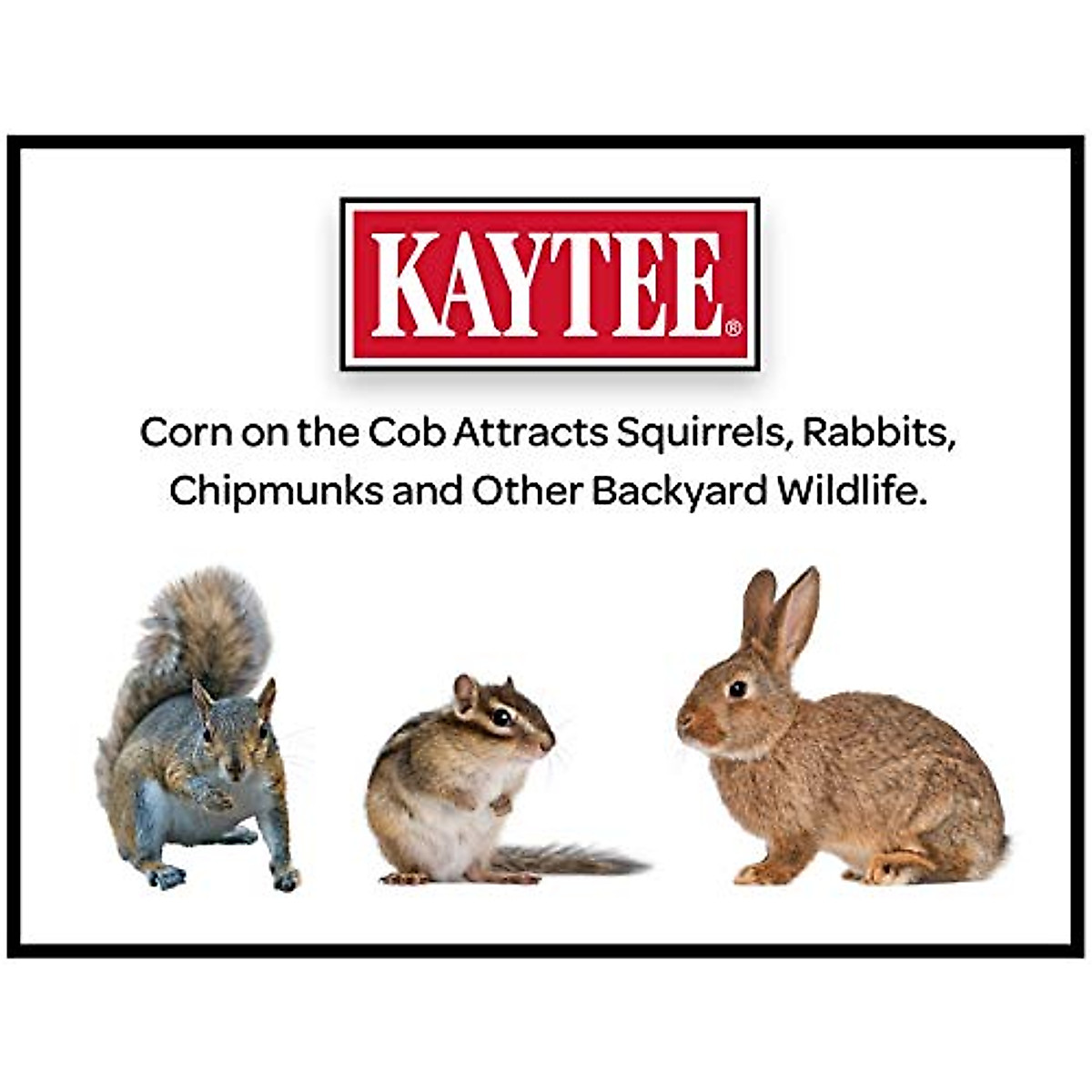 Kaytee Corn On The Cob Food For Wild Squirrels, Rabbits, Chipmunks and Other Backyard Wildlife, 6.5 Pound