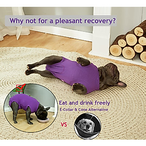 Wabdhaly Dog Surgery Recovery Suit for Female Spay,Puppy Surgical Recovery Zip Up Suit,Anti-Licking Bodysuit for Abdominal Wounds,Cone Alternative Recovery Blank Suit for Dogs