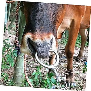 Yardwe 3pcs Spring Loaded Bull Nose Ring Stainless Steel Nose Ring Cattle Pliers Ring Farm Animal Pulling Tool Cow Nose Piercing Traction Nose Rings Cattle Traction Ring Livestock Supply