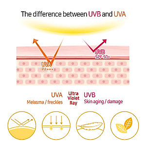 Elizavecca Milky Piggy Great Block Stick Spf 50+ PA+++ | Protection for Face | How to Use Stick for Face | Protection for Face |