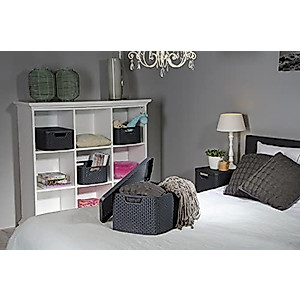 Curver Style 205852 Storage Box Rattan-Look Size L Second Generation Polypropylene