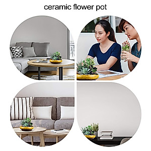 Happyyami Succulent Flower Pot Retro Plant Pot Home Plant Container Small Plant Pot Ceramic Planter Bedroom Decoration Garden Decoration Desktop Bonsai Porcelain Pot Succulents Ceramics