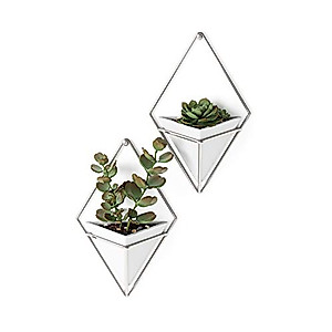 Umbra Trigg Small Wall Display, White-Nickel, Planter Pot, Indoor Outdoor Usage