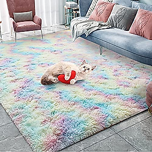 Soft Fluffy Area Rug,Super Cozy Plush Shaggy Rug for Living Room Bedroom Home Decor, Fuzzy Carpet for Kids Girls Nursery Dorm (Rainbow, 4x6 Feet)