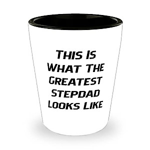 Reusable Stepdad, This Is What The Greatest Stepdad Looks Like, Funny Shot Glass For Dad From Son