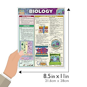 Biology: a QuickStudy Laminated Reference Guide (QuickStudy Academic)