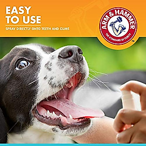 Arm & Hammer for Pets Fresh Breath Dental Spray for Dogs | Reduce Plaque & Tartar Buildup Without Brushing, 4 Ounces, Mint Flavor | Dog Teeth Cleaning Spray, Arm and Hammer Dog Dental Care