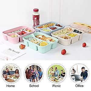 4 Pack Bento Lunch Box, 4 Compartment Meal Prep Containers, Lunch Box for Kids, Durable BPA Free Plastic Reusable Food Storage Containers - Stackable, Suitable for Schools, Companies,Work and Travel