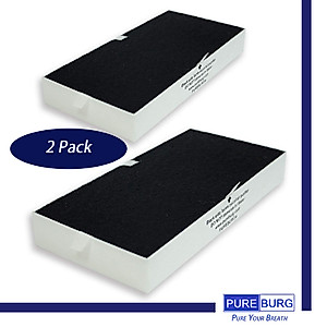 PUREBURG HRF-G1 True HEPA Replacement Filter Compatible with Honeywell HPA020(B) HPA030(B) HEPAClean HPA180B HPA075B Air Purifier,Part Number HRF-G1 HRF-G2 Filter G,2-Pack