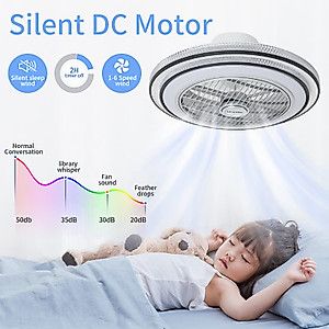 XuanDe Ceiling Fans with Lights and Remote Quiet, 20" Enclosed Ceiling Fans Modern Low Profile DC Motor 6 Gear Wind Speeds 3 Colors of Lights-Silver
