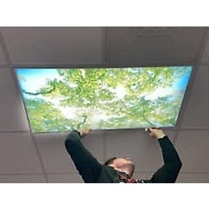 ShadeMAGIC - 4 Pack - Fluorescent Light Covers - 2x4 Film Insert for Ceiling Light Diffuser Panels - Tree Design - Classrooms and Offices - Decorative Lighting