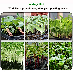 JIAQUAN 5-Pack 120 Cells Seed Trays Seedling Starter Tray, Humidity Adjustable Plant Starter Kit with Dome and Base Greenhouse Grow Trays Mini Propagator for Seeds Growing Starting