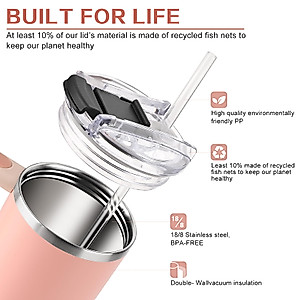 EK-Memory-fish 30 OZ Tumbler with Handle and Straw - Vacuum Insulated Water Bottle for Home, Office, Car - Reusable Cup with Straw【Rose Quartz】
