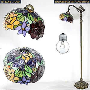 WERFACTORY Tiffany Floor Lamp Red Rose Flower Stained Glass Arched Lamp 10X18X64 Inches Gooseneck Adjustable Corner Standing Reading Light Decor Bedroom Living Room S001 Series