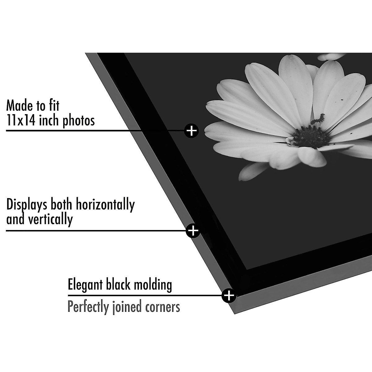 Americanflat 11x14 Picture Frame with Polished Plexiglass - Set of 5 - Galleria Collection - Gallery Wall Frame Set for Wall Display - Black