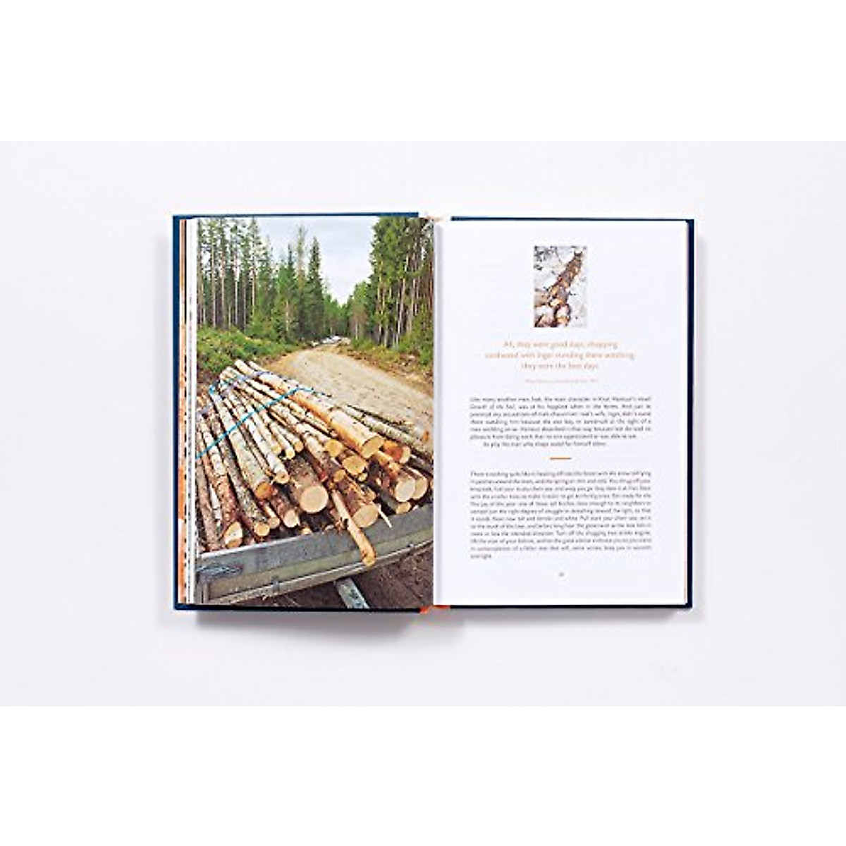 Norwegian Wood: Chopping, Stacking, and Drying Wood the Scandinavian Way