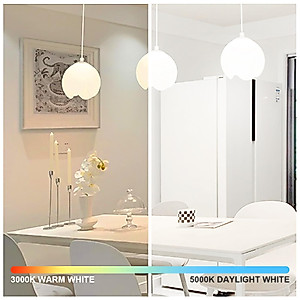 GOZIG 14W 1500LM Dimmable LED Light Bulbs 100 Watt Equivalent Bright A19 LED Bulbs with E26 Medium Base Daylight White 5000K CRI 90+ for Home Office Bedroom Kitchen, 10 Packs