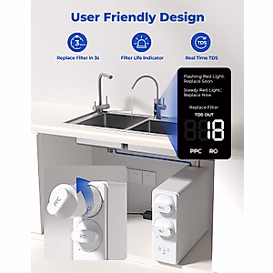 Reinmoson (RMS-WP-RO400-PPC) PPC Filter Replacement for RMS-WP-RO400 Reverse Osmosis System 12 Months Service Life