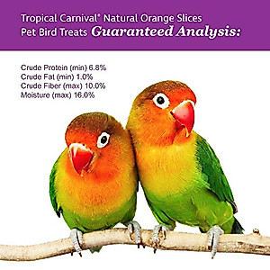 F.M. Brown's Tropical Carnival Natural Orange Slices Pet Bird Foraging Treat, 0.75-oz Bag - Sun-Ripened, USA Harvested, 100% Edible, Natural Vitamin C