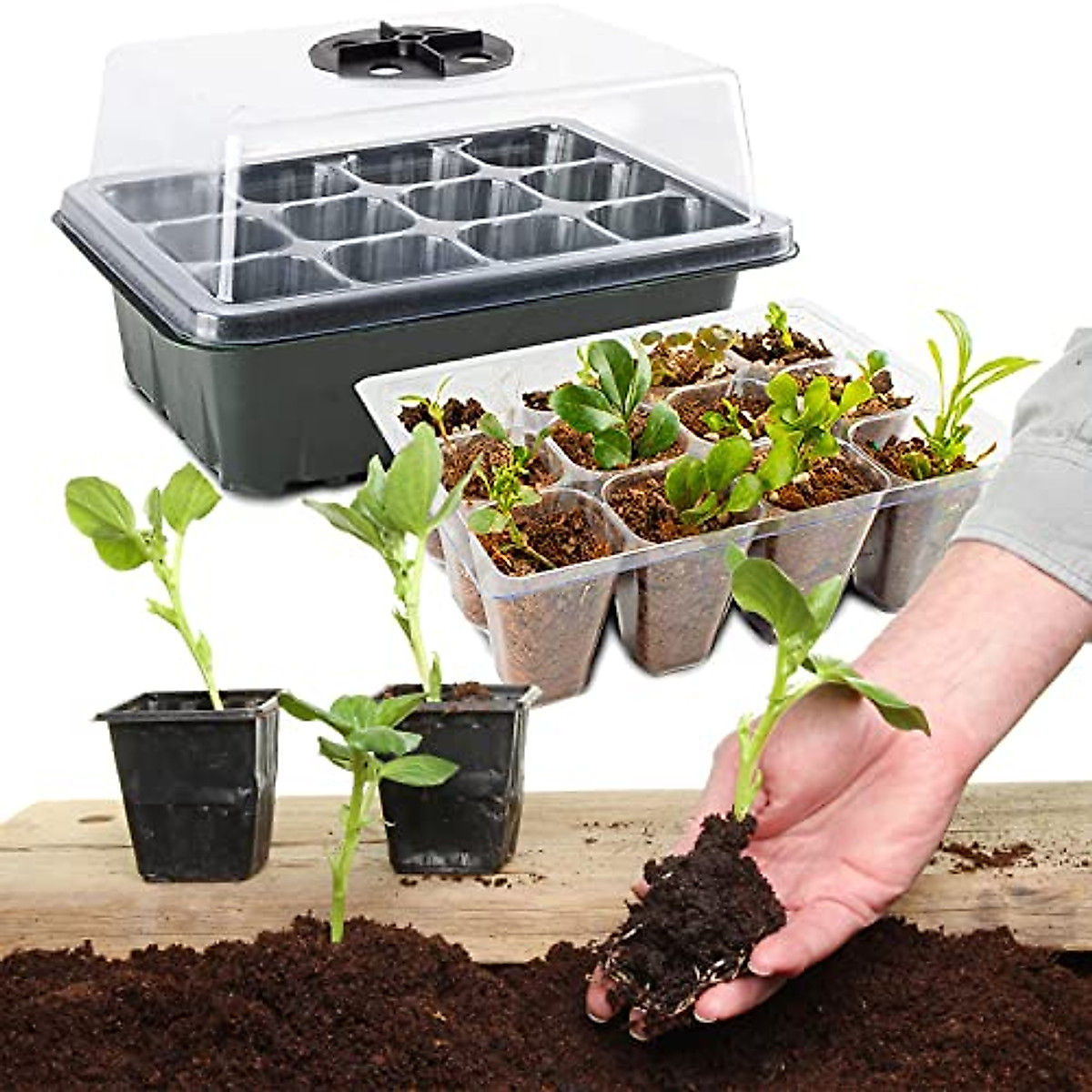 QHC KOCK Seed Starter Tray Seedling Tray (12 Cells Per Tray) Humidity Adjustable Plant Seed Starting Kit with Dome and Base Greenhouse Grow Trays for Plant Growing Starting 5 Packs Black