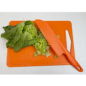 jawbush 11" Plastic Serrated Knives Set to Cut Salad, Bread, Brownies or Lasagna, Professional Large Lettuce Knife to Prevent Browning, Nylon Knife for Nonstick Pans, Durable Chef's Knife, 4 Pcs