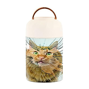 CUPADA Ginger Cat Lovely Food Jar, Broken Glass Design Insulated Hot Food Jars Vacuum 17OZ with Folding Spoon for Work Trip Picnic Camping