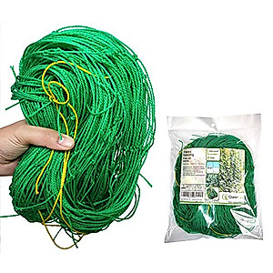 QueenBird Trellis Netting - Heavy Duty Garden Trellis Netting for Climbing Plants - 5.9 Feet X 16.4 Feet -Very Strong Support for Vegetables, Clematis, Cucumber,Tomatoes and Vine Plants