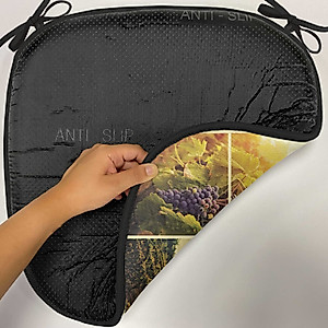 Lunarable Rustic Chair Cushion Pads Set of 4, Rustic Style Collage of Wine Glass Grapes and Vineyard Qualified Harvest Village, Anti-Slip Seat Padding for Kitchen & Patio, 16"x16", Green Red