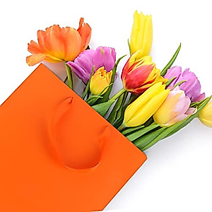 10 Pcs Orange Paper Gift Bag Wide Handle Cardstock Paper Bags All-Occasion Paper Bags Heavy Duty Shopping Bags Reusable Business Bag Vogue Paper Gift Bags Take Out Bags with Tissue,9.8"*5.1"*12.6"