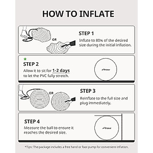 Trideer Extra Thick Yoga Ball Exercise Ball, 5 Sizes Ball Chair, Heavy Duty Swiss Ball for Balance, Stability, Pregnancy, Physical Therapy, Quick Pump Included