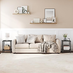 BEEWOOT End Table, Side Table, Nightstand, 2-Tier Storage Shelf, Sofa Table for Small Space, Living Room, Bed Room BETB01BK034