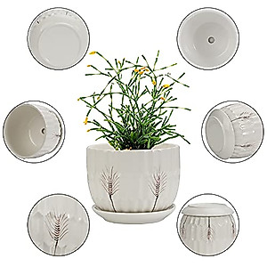 Laerjin Plant Pots 4.17" & 5.62" & 6.88" Flower Pot with Drainage Holes and Saucers, Set of 3 Ceramic Plant Pot with Tray, Outdoor Small to Medium Sized Round Modern Ceramic Garden Flower Pots