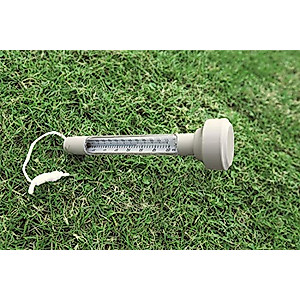 Bestway Floating Swimming Thermometer for Pools and Spas