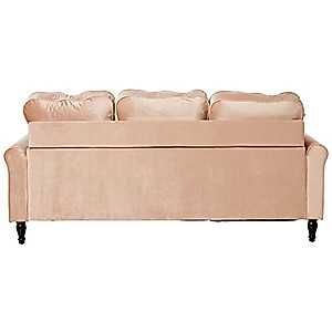 Divano Roma Furniture Classic Sectional, Champaign