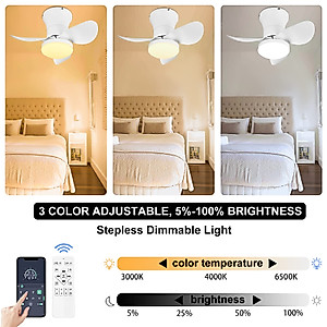 Ohniyou 21'' Small Flush Mount Ceiling Fan with Light, Remote & APP Control, DC Motor, Dimmable, 3 Color Light