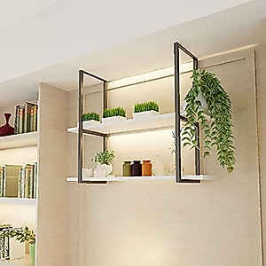 Ceiling Glass Rack Ceiling Shelf,2 Tier pood Shelves/Bar Hanging Decoration Storage Rack,for Bars/Restaurants/Kitchens Decorative Floer Stand/Rack