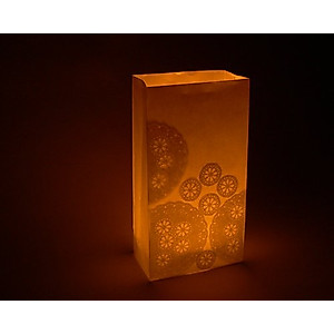 Fortune Products LL-8A Luminary Light, 2 3/4" Length, 1 1/2" Width, 3/4" Height, 8 LEDs, Amber LEDs with Black Base