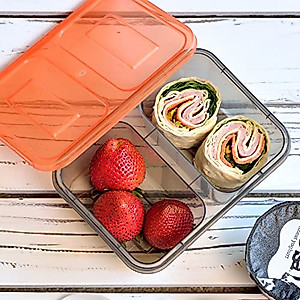 Youngever 9 Sets Bento Lunch Box, Meal Prep Containers, Reusable Plastic Food Storage Container Boxes (2-Compartment 20 Ounce)