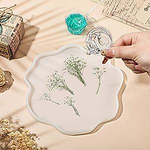 Dried Babys Breath Flowers Bouquet Ivory White Babys Breath Real Flowers Natural Gypsophila Branches Dry Pressed Gypsophila for Wedding Resin Art Craft DIY Card Making Home Party Decor (100 Pcs)