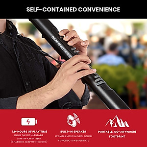 AKAI Professional EWI Solo - Electronic Wind Instrument With Built-in Speaker, Rechargeable Battery, 200 Sounds and USB MIDI Connectivity,Black