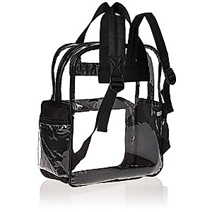 Clear Backpack, Camping Hiking Daypacks, Transparent Backpacks (Clear - 14")