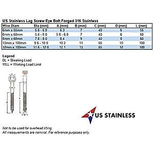 US STAINLESS 2 Pieces Stainless Steel 316 M10 Lag Screw Eye Bolt Forged 10mm x 100mm Marine Grade
