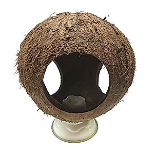 Aquarium Decor Fish Tank Three Hole Coconut Shell Dodge Hole Fish Cave Hole Shelter House Shrimp Nest/Bird's Nest (Coconut Shell & Suction Cup)