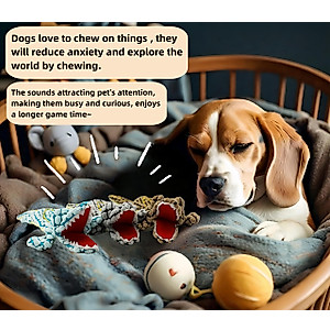 SOCOWVAKA 3PCS Crocodile Brothers Series Interactive Squeaky Dog Toy - Durable and Safe - Ideal for Puppies and Small Medium Dogs - No Stuffing, Easy to Clean, Promotes Dental Health -Lasting Playtime