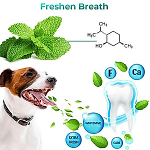 kdlgjdv Lettuce Pets Toothbrush, Lettucepets Toothbrush, Lettuce Pet Oral Repair Gel for Dogs, Lettuce Pets Dog Toothbrush, Pet Breath Freshener Gel Care Cleaner for Dog Cats (10)