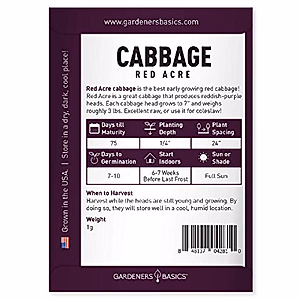 Cabbage Seeds for Planting - Red Acre Heirloom, Non-GMO Vegetable Variety- 1 Gram Seeds Great for Summer, Spring, Fall and Winter Gardens by Gardeners Basics