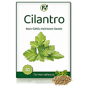 Cilantro Seeds for Planting Home Garden Herbs - Individual Pack of 300+ Heirloom Seeds, Suitable for Outdoors, Indoors, and Hydroponics - Non-GMO, Non-Hybrid, Untreated, and USA Grown Variety
