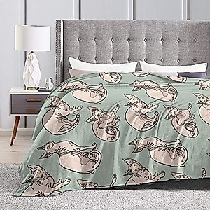 Hairless Naked Cats Sphynx Cats Mint Green Couch Blanket ,Fleece Throw Blanket Super Soft Warm Therma Plush Bed Couch Living Room